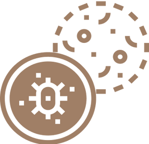 Elima Draft – Elima-Draft